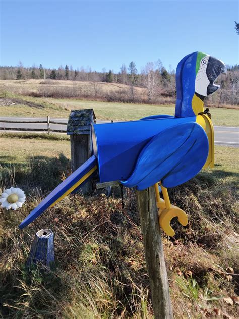 Parrot Mailbox Blue And Gold Macaw Mailbox Bird Mailbox Crossknots Woodworking Custom