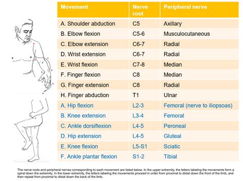Neuromuscular Weakness Recapem
