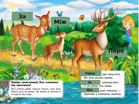 Орієнтування в навколишньому просторі Презентація Інклюзивна освіта