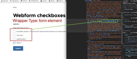 First Option Of Required Checkboxescheckboxes Other Become Required Under Conditional State