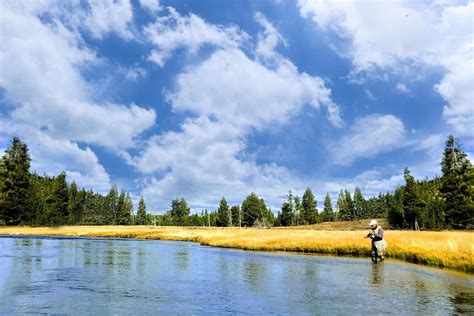 Yellowstone River Outfitters Guided Fly Fishing Trips