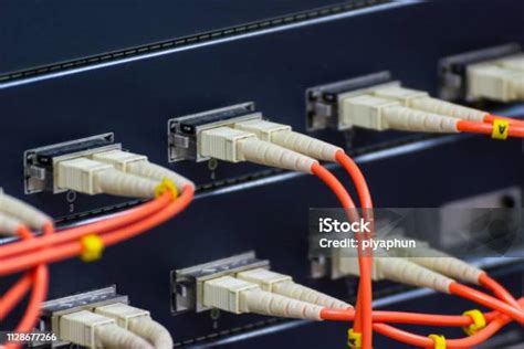 광섬유 케이블을 Sfp 모듈 포트 연결 기술자에 대한 스톡 사진 및 기타 이미지 기술자 네트워크 서버 네트워크 연결 플러그 Istock