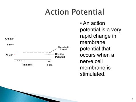 Integrate And Fire Based Neuron Model Ppt