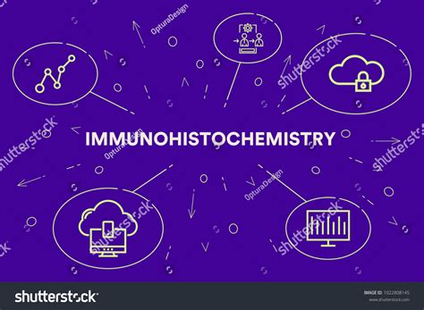 Ihc Over 5 Royalty Free Licensable Stock Illustrations And Drawings