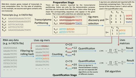 Rna Skim A Rapid Method For Rna Seq Quantification At Transcript Level Rna Seq Blog