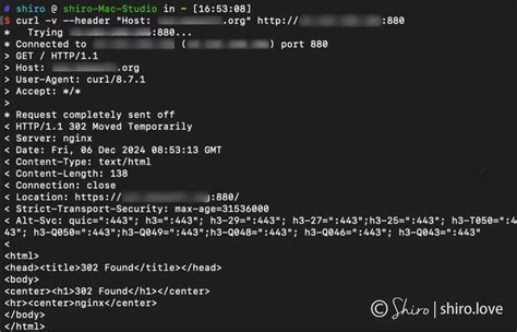 Nginx配置指南：基于497错误码实现单端口自动跳转 Shiro