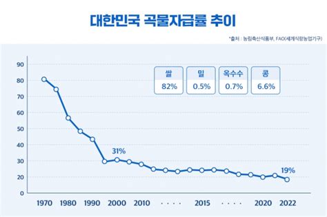 포스코인터내셔널의 ‘담대한 도전10위권 식량 메이저 기업 도약 서울신문