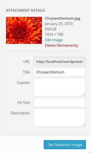 Php Wordpress Image Attachment Settings Missing Stack Overflow