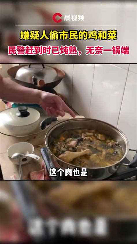 海南一男子偷市民刚买的鸡后炖熟，民警无奈一锅端凤凰网视频凤凰网