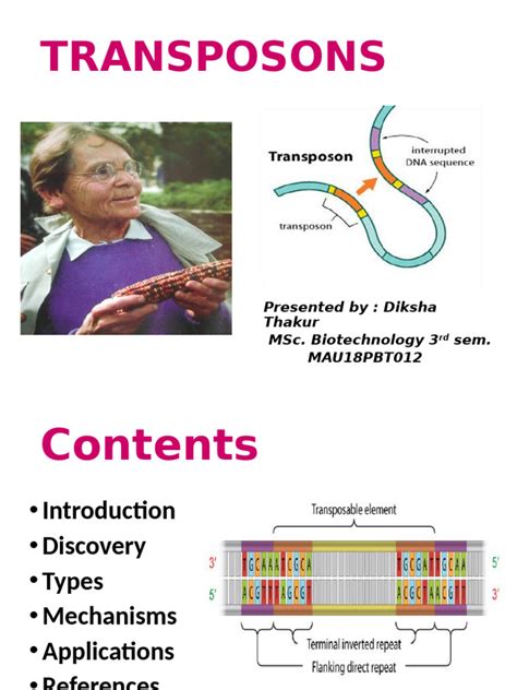 Transposons Pdf Transposable Element Genome