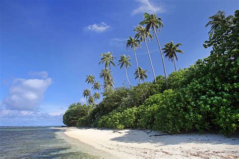 Visit Nias Island Beaches Of Nias