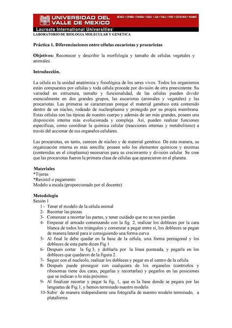 Práctica Bio Mol Gen A LABORATORIO DE BIOLOGIA MOLECULAR Y GENETICA Práctica