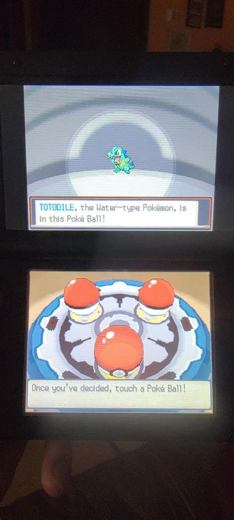 Starting My Shiny Hunts In Hgss R Shinypokedex