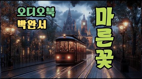 박완서 단편소설 가슴이 소리내어 울렁거렸다 이 나이에 이런 느낌을 가질 수 있다는 걸 누가 믿을까 마른꽃 실버 로맨스 차분한 목소리 숙면을 위한