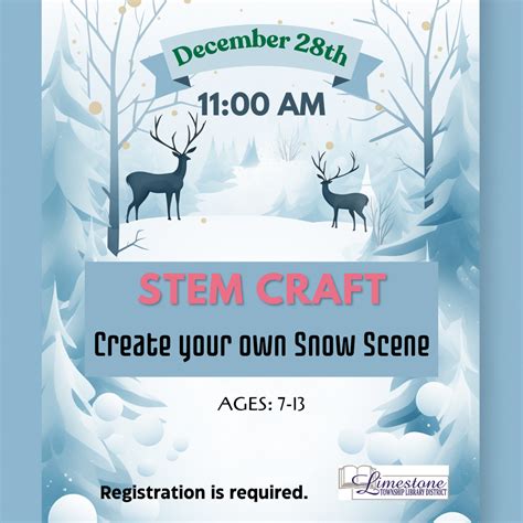 Youth Stem Craft Limestone Township Library