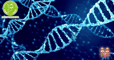 ゲノム編集と遺伝子組み換えの違い解説