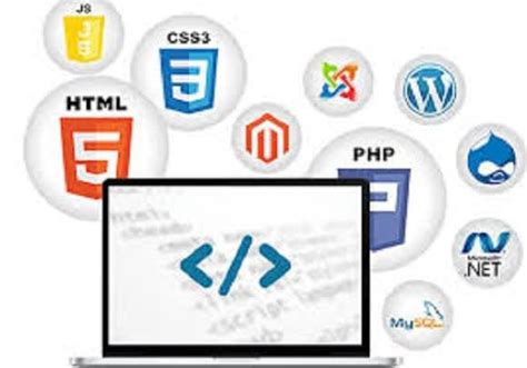 Fix Or Develop Any Php Codeigniter Laravel Website Software