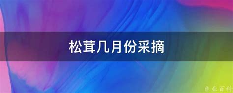 松茸几月份采摘 业百科