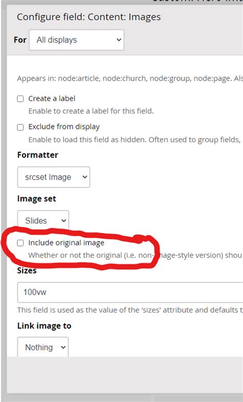 Original Image Is Still Included As Src Even If Include Original Image Is Deselected · Issue