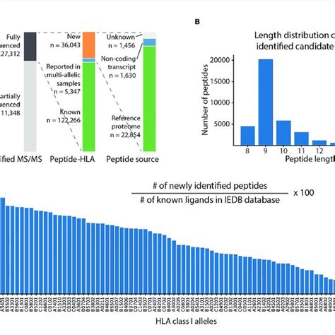 Hla Binding Assay For Hla B 14 02 Peptide Synthesis And Binding Download Scientific Diagram