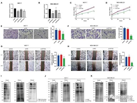 8 基于糖基化的生信分析，最近生信方向有一批新的热点，糖基化算其中之一。 知乎