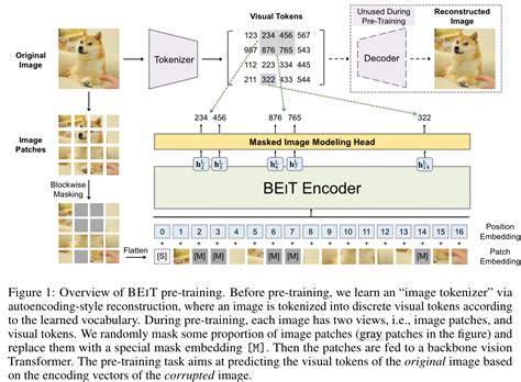 dino detr with improved denoising anchor boxes for end to end object