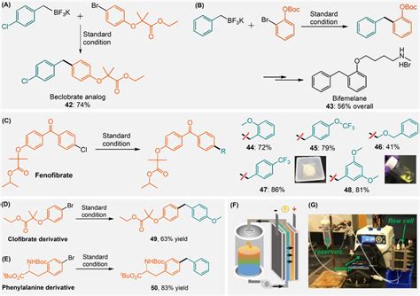 Applications Of The Ni‐catalyzed Electrochemical Csp²−csp³
