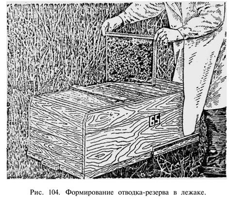 Апидомики для пчел размеры чертежи фото видео