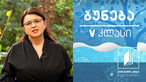 ბუნება V კლასი კოსმოსის შესწავლა გახდი ასტრონომი ტელესკოლა 1tv