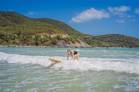 아름다운 젊은 여자가 파도를 타고 푸른 하늘 구름과 투명 한 파도의 배경에 서핑 스포티 서퍼 여자 야외 활동 30 34세에 대한