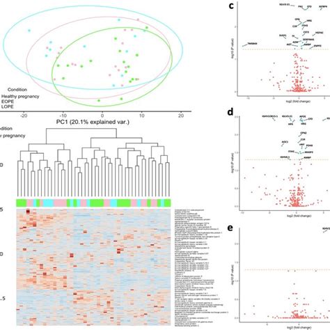 Overviews Of Differential Expression Analysis A Principal Component Overviews Of Differential Expression Analysis A Principal Component