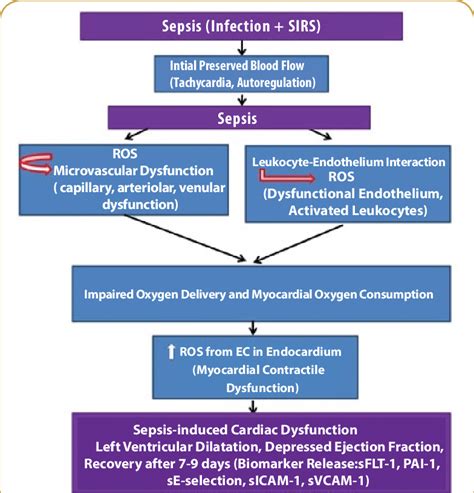 Sepsis Six Pathway