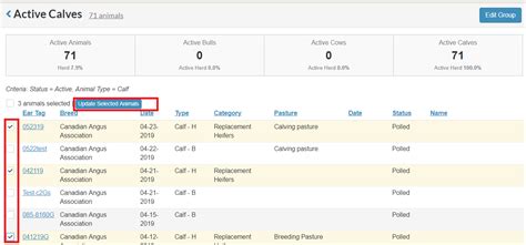 Using Category For Tracking First Calf Heifers Replacement Heifers Stocker Calves Etc