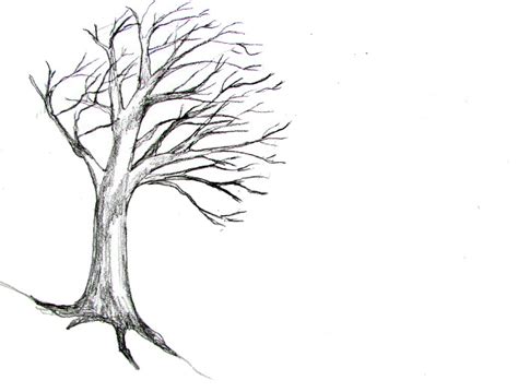 How To Draw A Tree Step By Step Easy