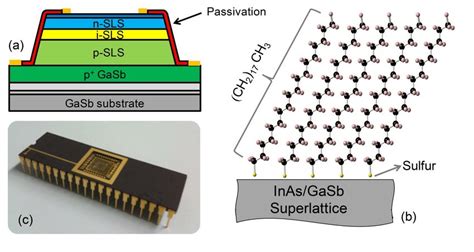 Figure1 A Structure Of The Single Pixel Photodetector B Schematic