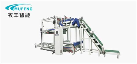 High Level Palletizer