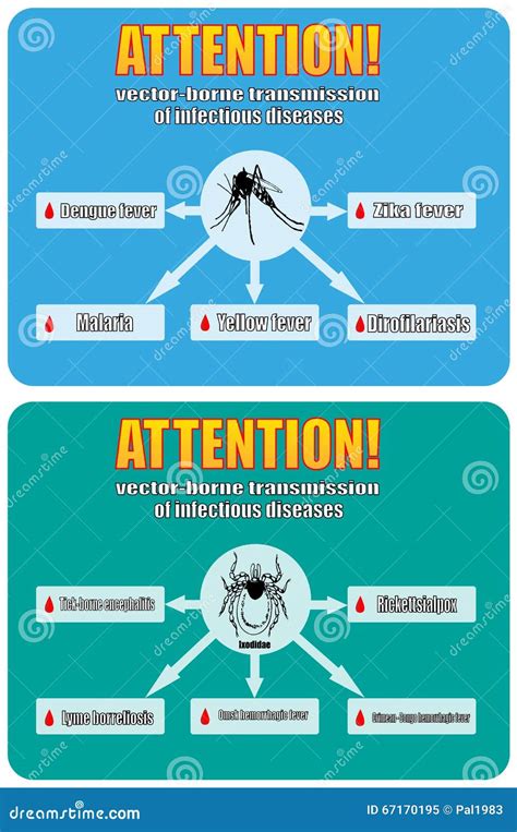 What Is A Vector Borne Disease