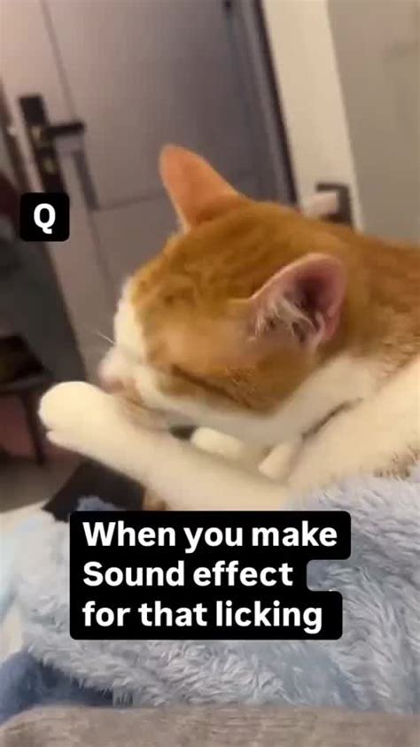 When You Make Sound Effect For That Licking Album On Imgur