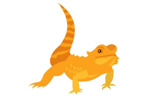 Bearded Dragon Svg Cut File By Creative Fabrica Crafts · Creative Fabrica