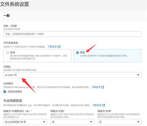 利用amazon Efs存储挂载到ec2扩容云服务器 老左笔记