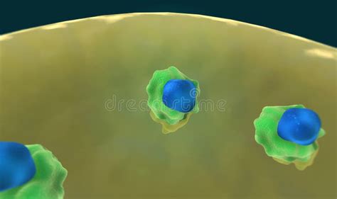 The Neuron Is Responsible For Sending Electrochemical Signals Th Stock Illustration