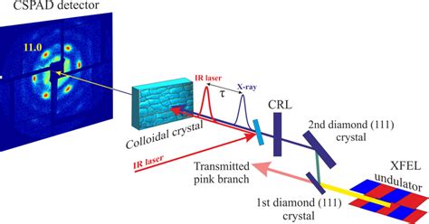 The Scheme Of The Pump Probe Experiment X Ray Free Electron Laser