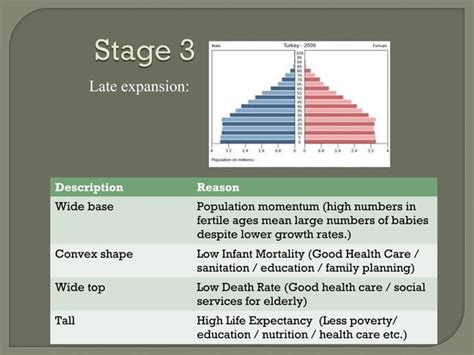 Population Structure Models For Igcse Geography Ppt