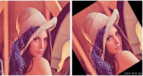 Emgucv学习笔记 Vbnet 52 仿射变换 Csdn博客