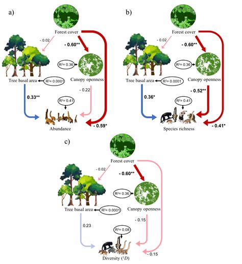 Path Models Of Direct And Indirect Effects Of Forest Cover On A