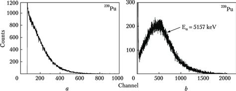Amplitude Spectra Of α Detector With Scintillation Coating Based On