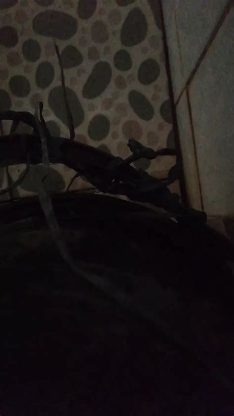 Sex Viet Nam Vietnamese Gay Amateur Amateur Porn Xhamster