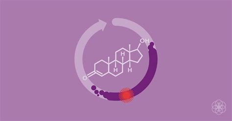 Testosterone Therapy And Fertility