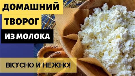 КЛАССИЧЕСКИЙ РЕЦЕПТ ДОМАШНЕГО ТВОРОГА КАК ПРИГОТОВИТЬ ТВОРОГ В ДОМАШНИХ УСЛОВИЯХ БЫСТРО И
