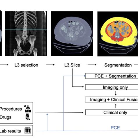 Architecture Of Multi Modal Data Fusion Combining Imaging And Clinical Download Scientific